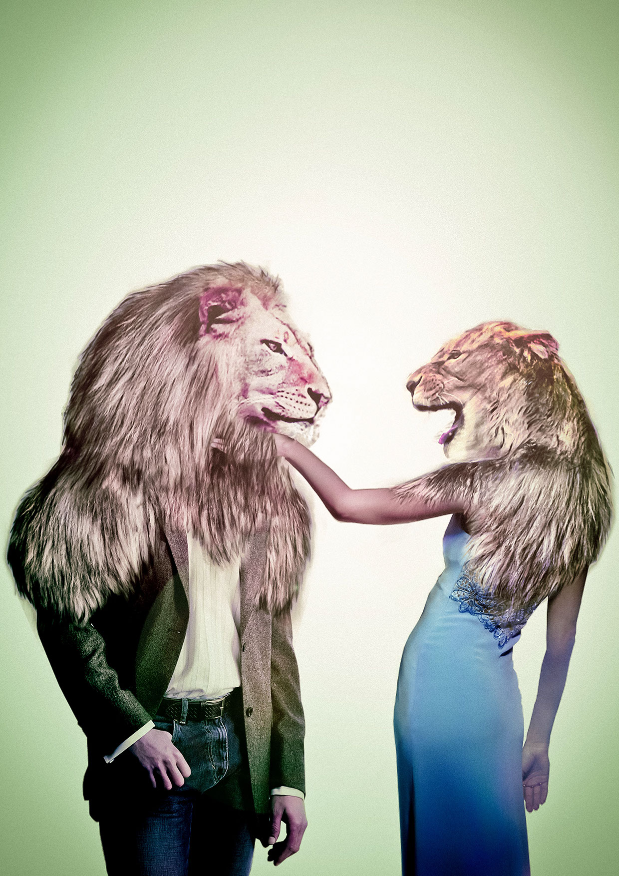 Visual and Graphic Work – Studio Tao Chan