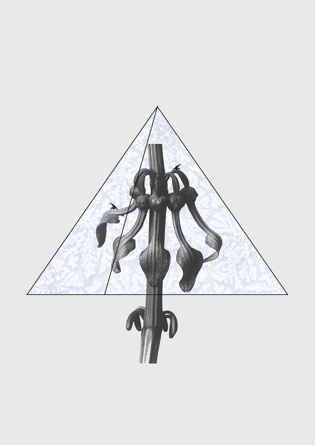 Visual and Graphic Work – Studio Tao Chan